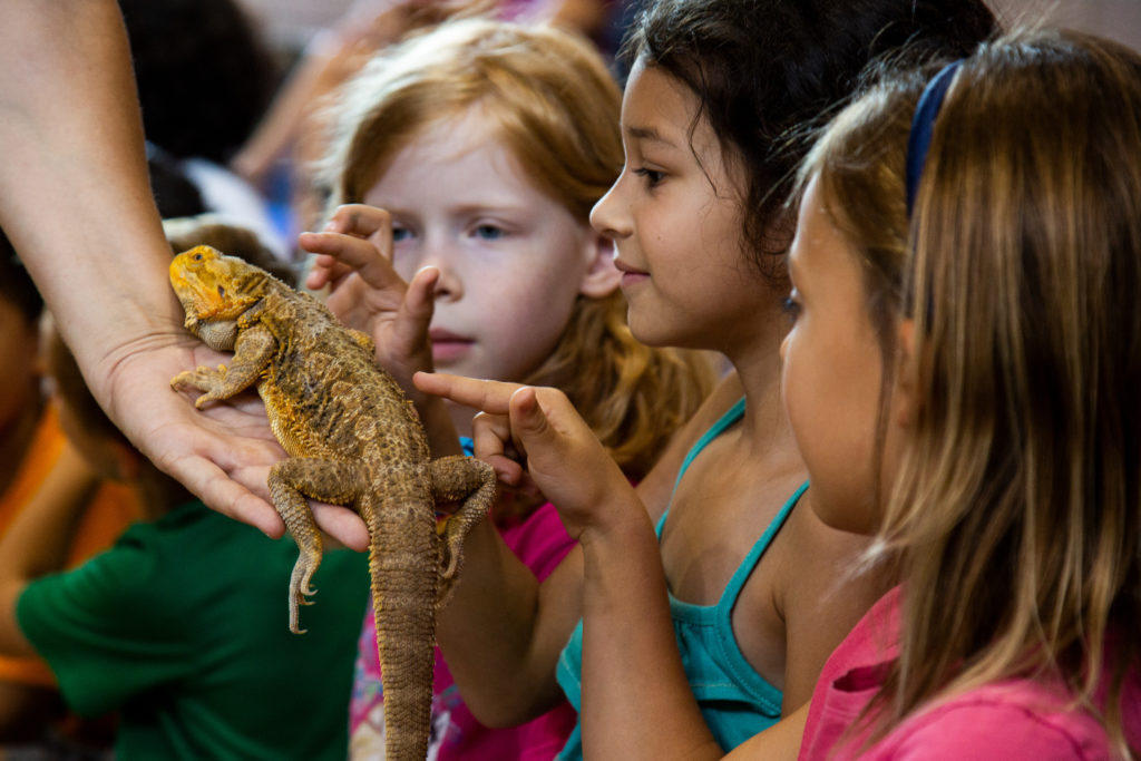 Bringing a Pet into Your Classroom | Education Grants