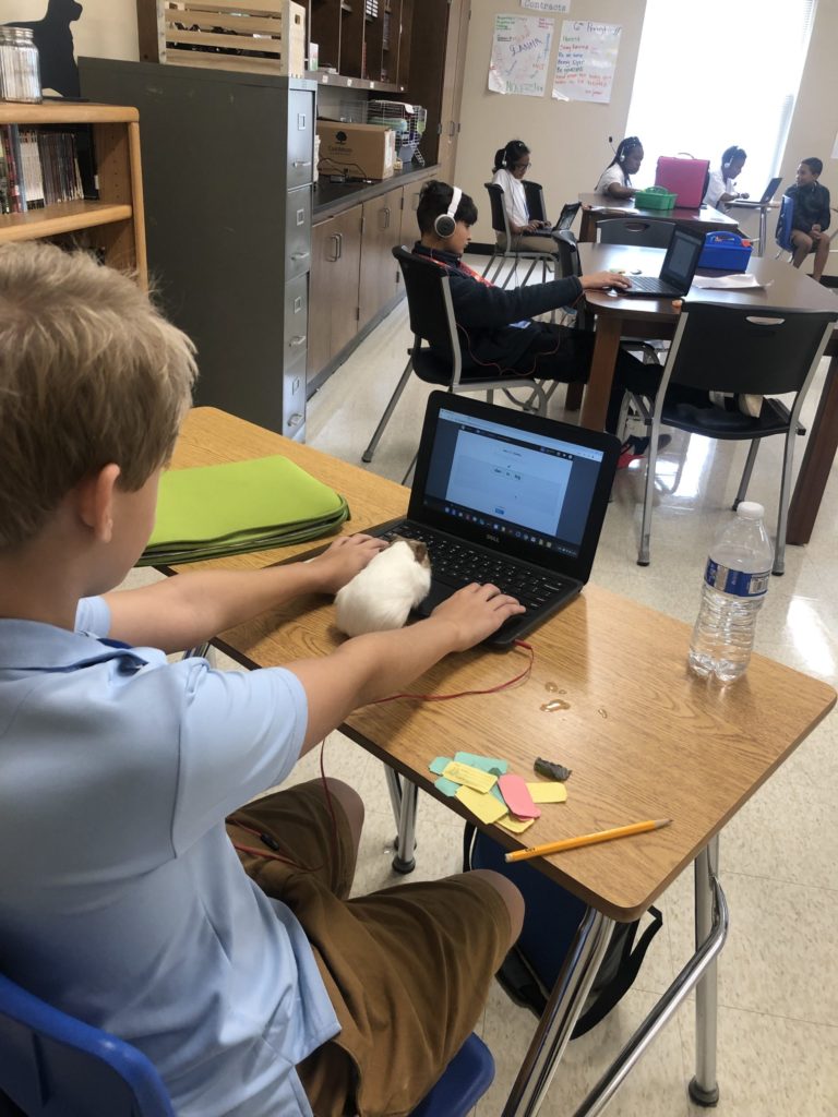 Pets in the Classroom - Why Not?! | Education Grants