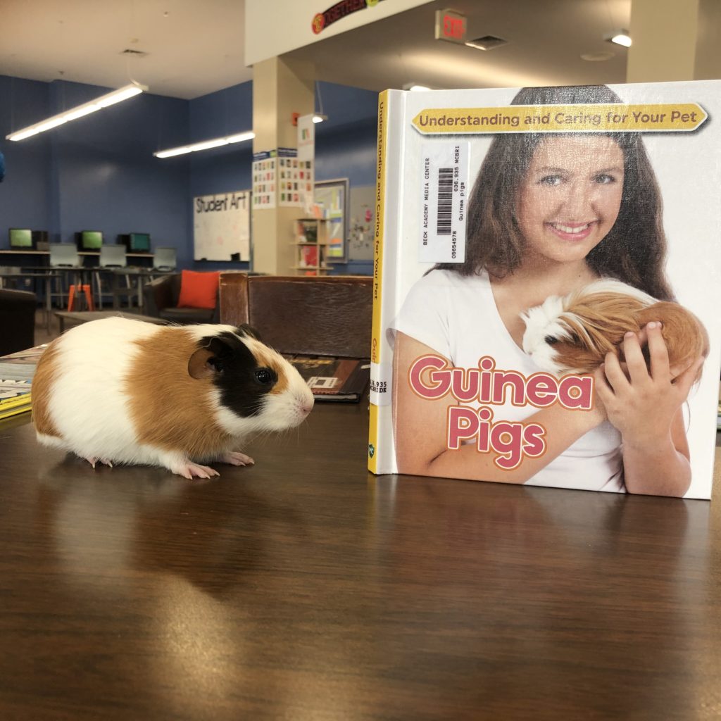 Pets in the Classroom - Why Not?! | Education Grants