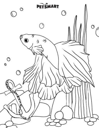 Coloring Sheets - Download and Print | Education Grants