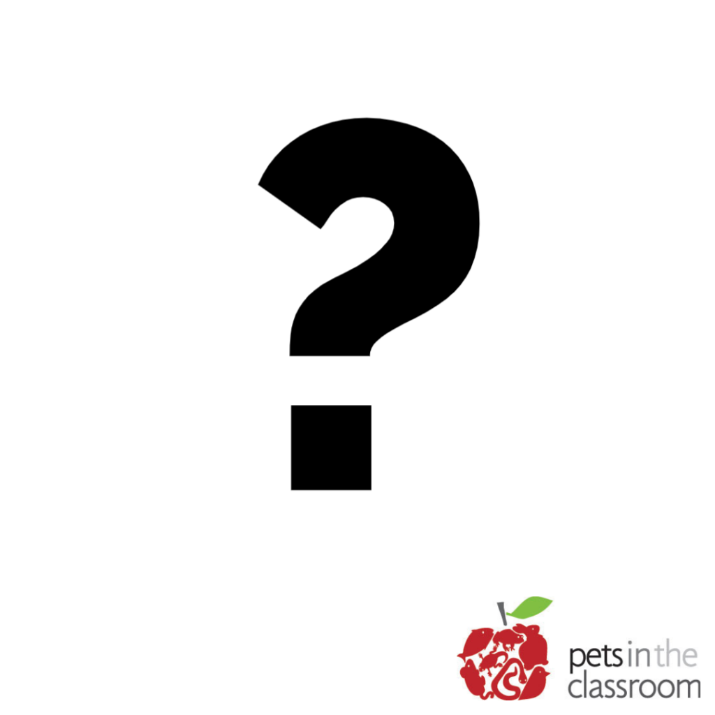 Pets in the Classroom Grant Recipients | Education Grants