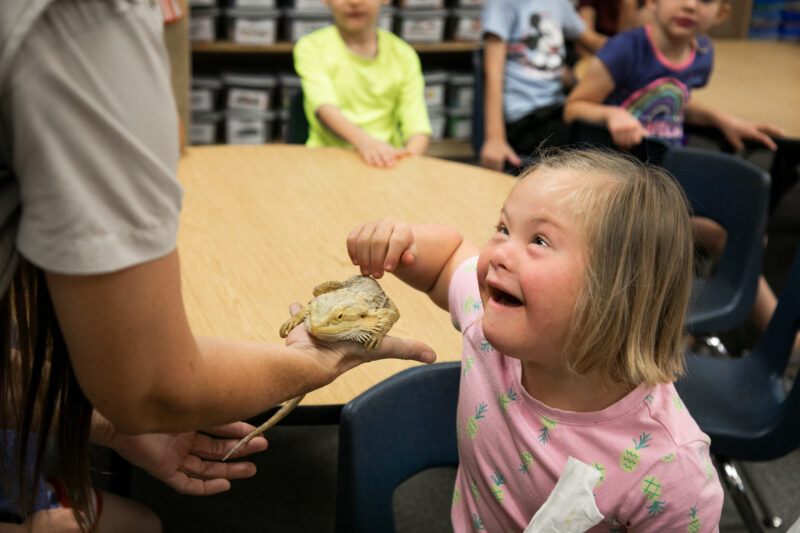 Pets in the Classroom Media Kit | Education Grants