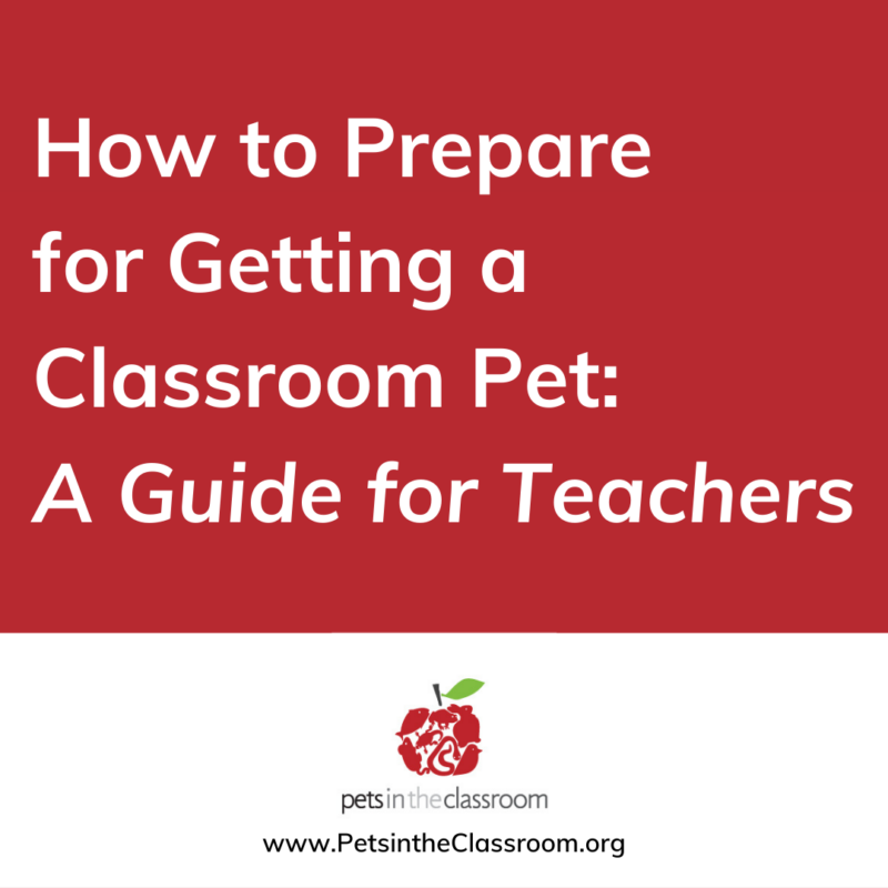 Education Grant for Teachers - Pets in the Classroom