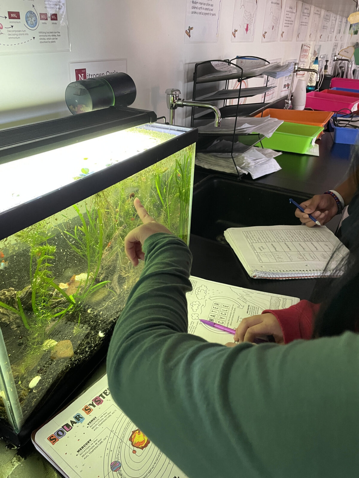 Education Grant for Teachers - Pets in the Classroom