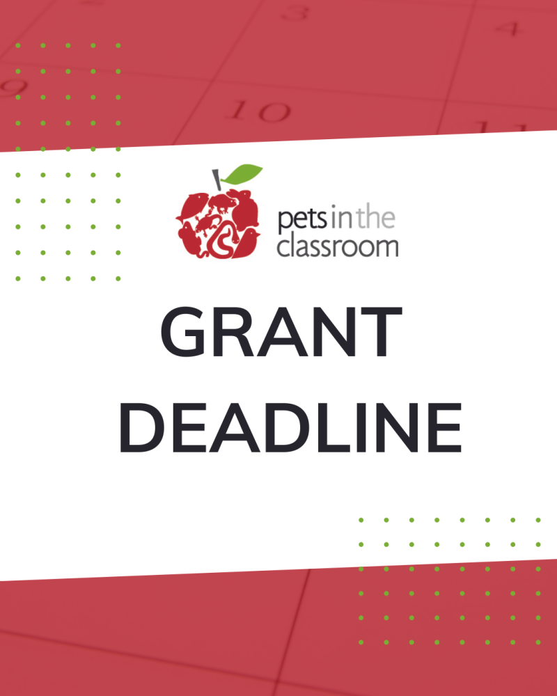 Education Grant for Teachers - Pets in the Classroom