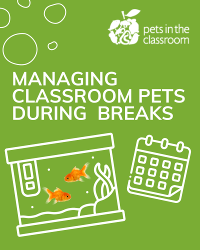 Education Grant for Teachers - Pets in the Classroom