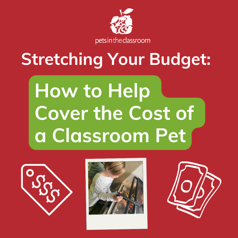 Education Grant for Teachers - Pets in the Classroom