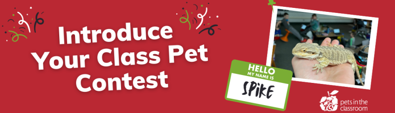 Introduce Your Class Pet Contest | Education Grants