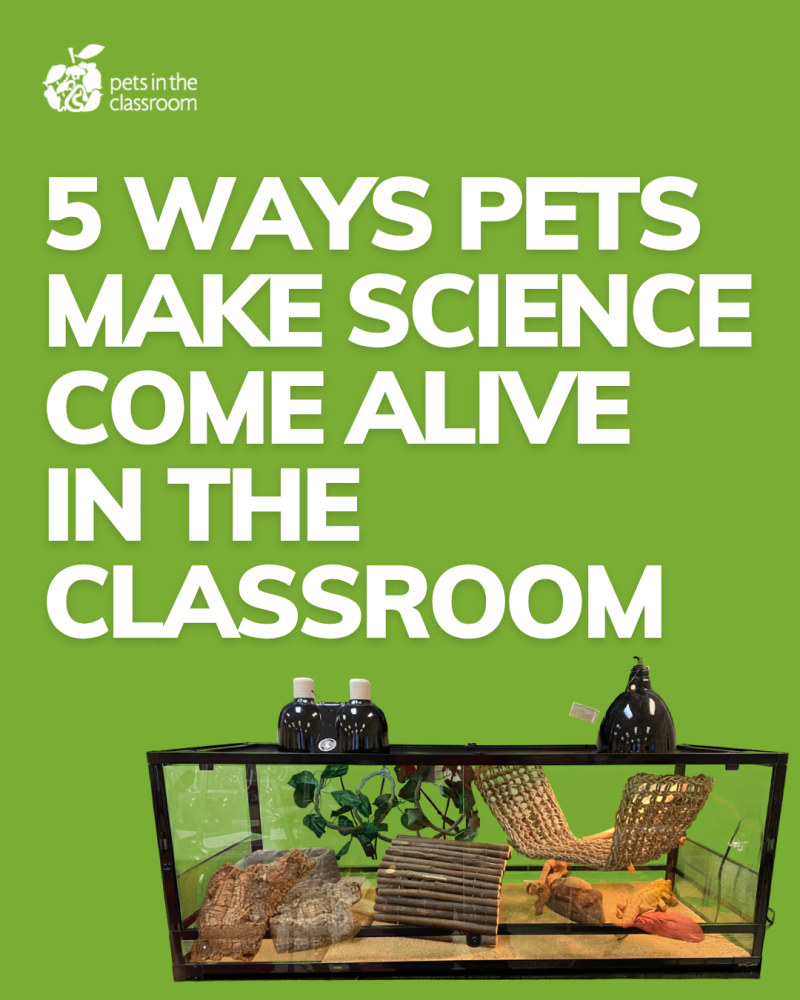 Education Grant for Teachers - Pets in the Classroom